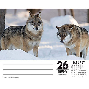 Spirit of the Wolf 2021 Box Calendar
