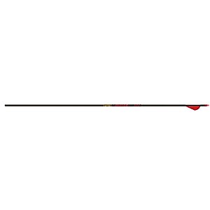 Gold Tip Hunter 300 Arrows with 2-Inch Raptor Vanes (1-Dozen)