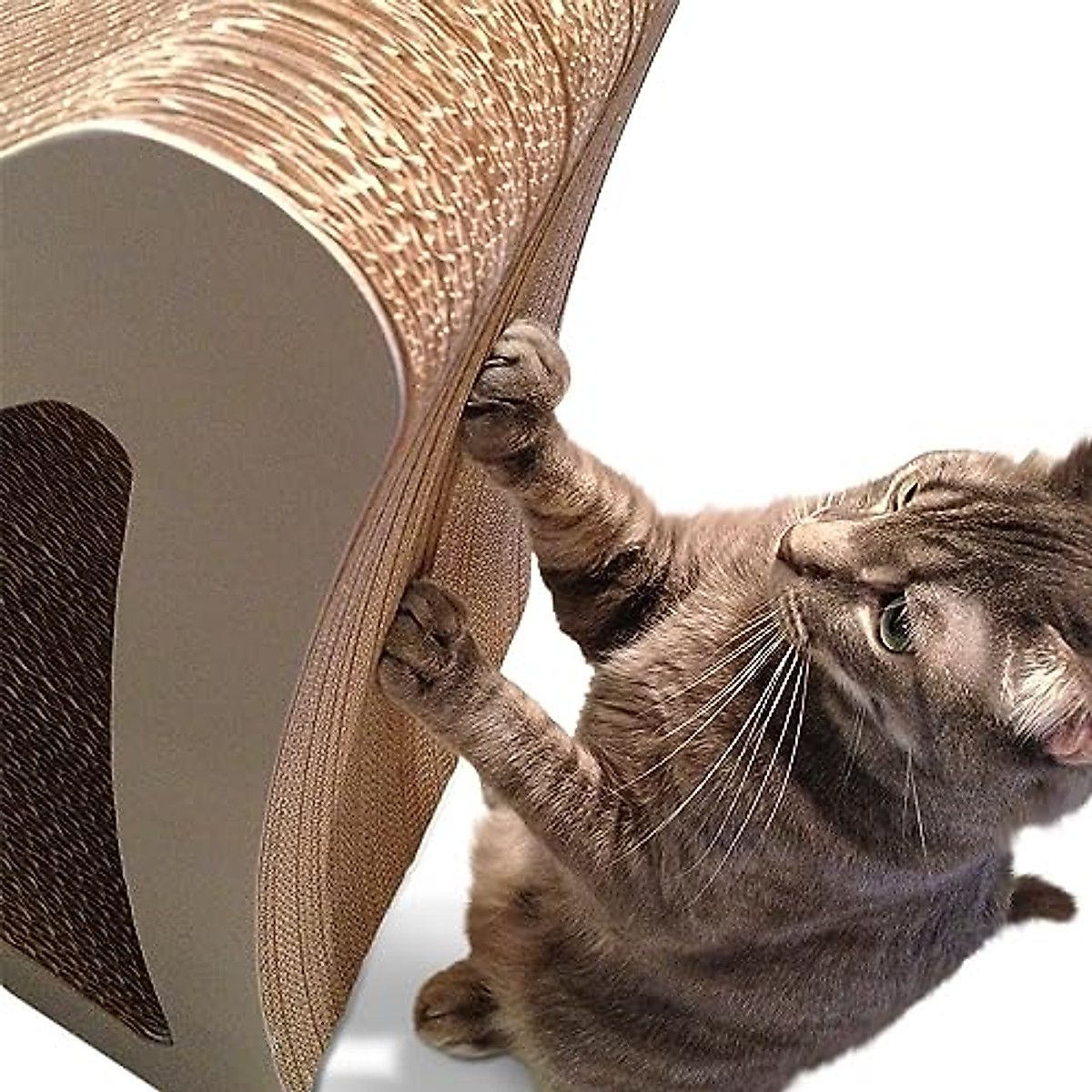 PetFusion 3-Sided Vertical Cat Scratching Post | Available in 18” & 24” | Multiple Angle Cat Scratching Pad, 6 Usable Sides. Scratch, Play, & Perch | 100% Recyclable Cardboard Cat Lounge. 1 Yr Warr