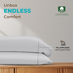 THREAD SPREAD 100% Egyptian Cotton Pillow Cases - 800 Thread Count Pillow Cases Queen/Standard Size Set of 2, Soft & Breathable Extra Long Staple Sateen Weave Cotton Pillow Covers for Bed - Silver