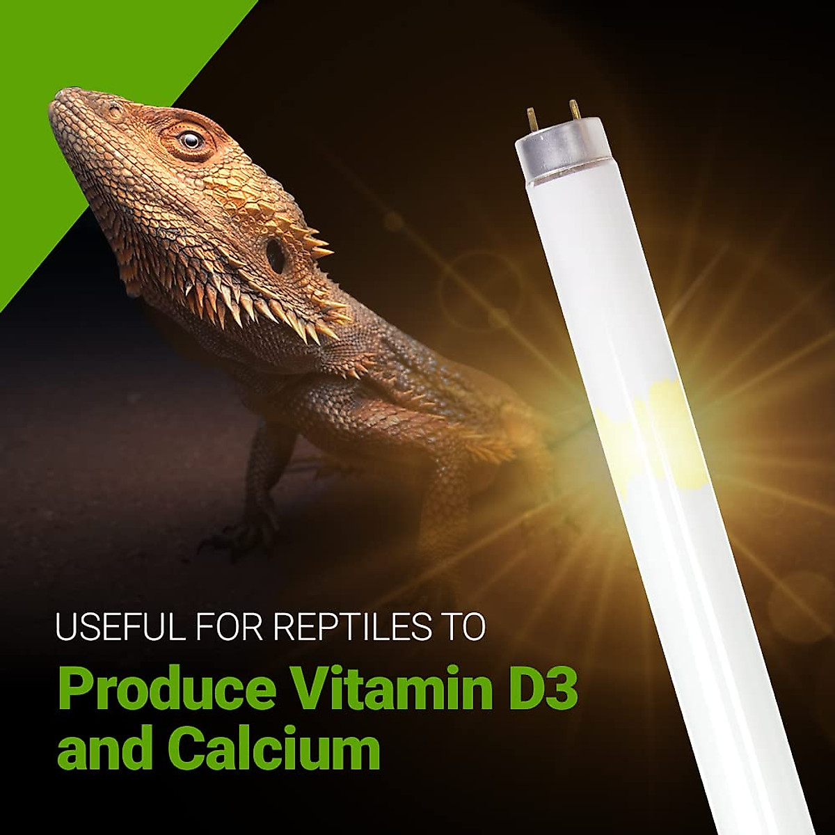 2 Pack 18W-Watt T8 Reptile Light Desert UVA UVB 10.0 Fluorescent Tube - 24" Terrarium Hood Light Suitable for Desert Reptile Lizards Bearded Dragons & More Promotes Natural Behavior UVB Bulb (24 Inch)