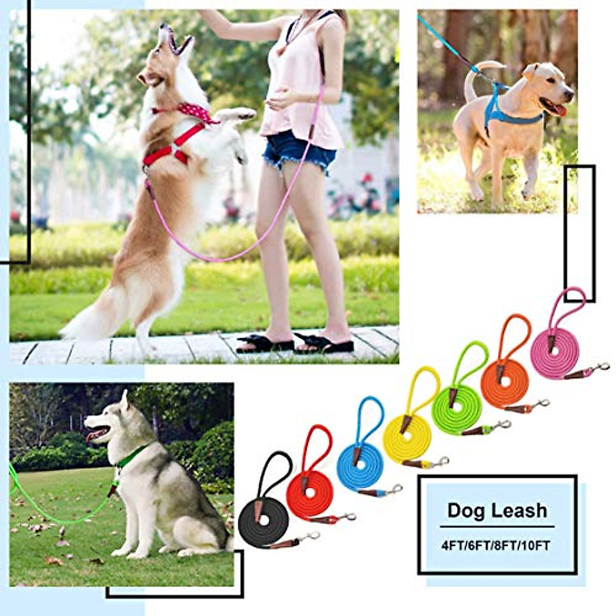 MayPaw 4FT/6FT/8FT/10FT Dog Leash, Classic Solid Colors, Durable Mountain Climbing Rope Dog Leash Reinforced with Leather Tailor Connection Heavy Duty Silver Clasp, 6 Foot Dog Leash Black