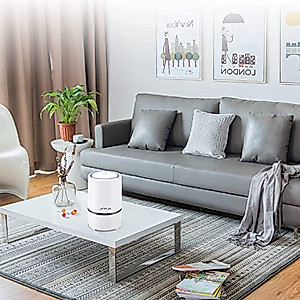 JINPUS Air Purifier Cleaner 2103 with 2pcs Replacement Filters (1 filter inside the air purifier)