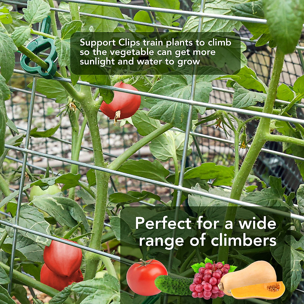 GOLETIO Cucumber Trellis for Raised Bed - 35" x 55" Garden Trellis for Climbing Plants Outdoor - A Frame Trellis for Climbing Vegetables with Plant Support Clips and Gloves