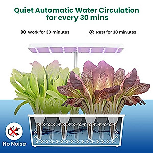 Hydroponic Growing System, Indoor Herb Garden, Smart Garden with LED Grow Light, 6L Water Tank Germination Kit, 18.5'' Height Adjustable, White