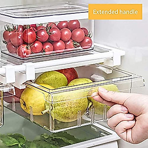 HOMEREFORM Pull-out Refrigerator Organizer Bins - Fridge Drawer Organizer with Handle, Refrigerator Shelf Holder Storage Box for Food Drinks, Fit for Fridge Shelf Under 0.6"