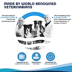 Forza10 Sensitive Digestion Grain Free Dry Dog Food, Complete and Balanced Dog Food for Adult Dogs with Digestive and Stomach Issues (25 Pounds)