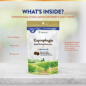 NaturVet Coprophagia Deterrent Soft Chews (90 ct)