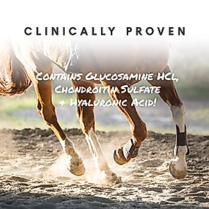 Manna Pro Rapid Flex | Fast Acting Joint Supplement for Horses | Clinically Proven Unique Patented Formula | 4 Pounds, White