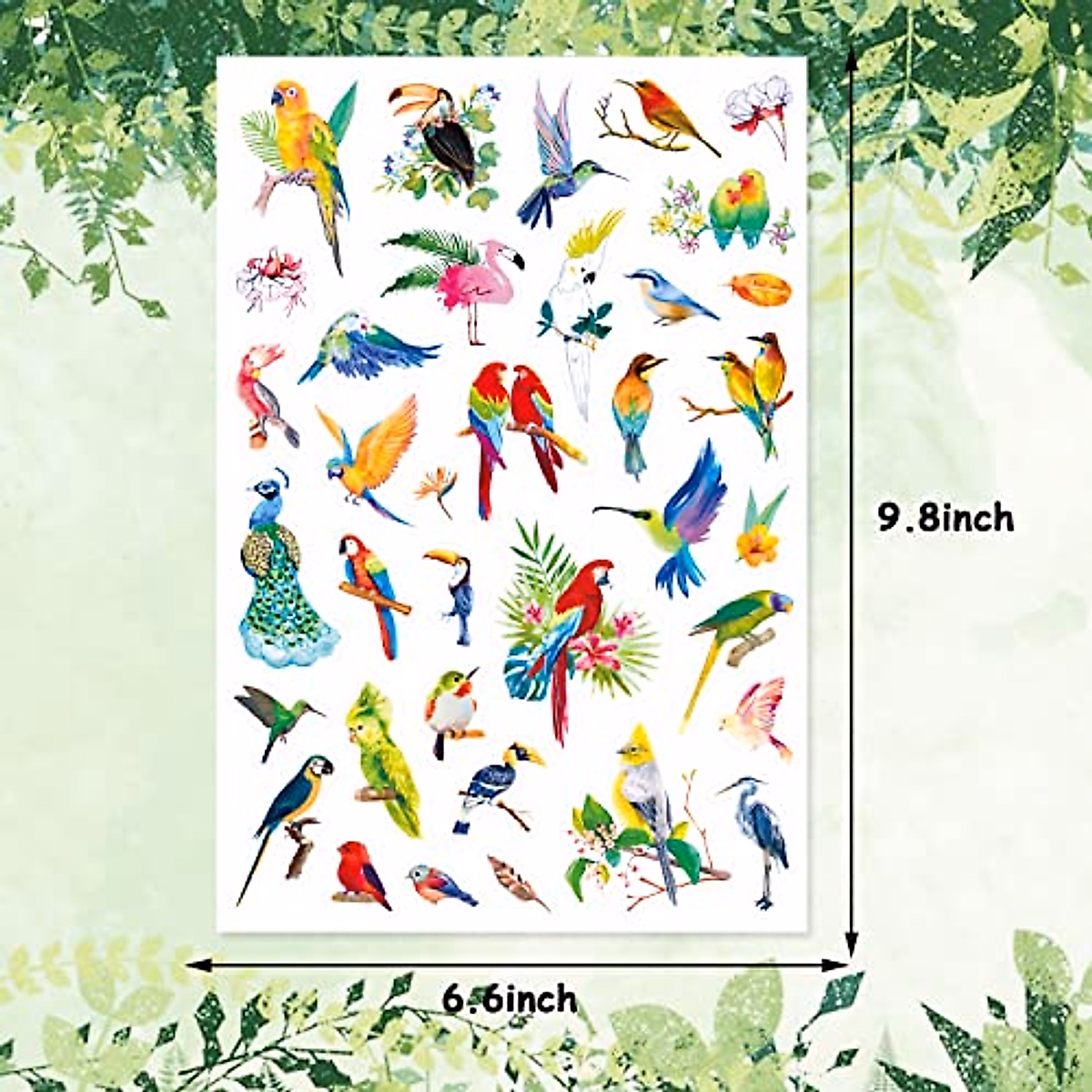Watercolor Bird Stickers Party Favors 730 Counts Animal Jungle Woodland Tropical Birds Flamingo Parrot Stickers Gift Water Bottle Scrapbook Laptop Planner Stickers Kids Boys Girls Birthday Party