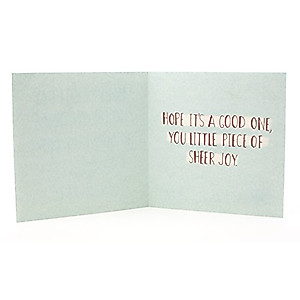 Hallmark Studio Ink Birthday Card  (Son of a), Sarcastic Humor (0299RZJ5029)