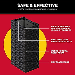 Catchmaster Mouse & Insect Glue Traps 20-Pk, Adhesive Rodent & Bug Catcher, Pre-Scented Mouse Traps Indoor for Home, Sticky Glue Traps for Mice and Insects, Pet Safe Pest Control for House & Garage