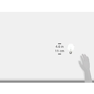 GE Lighting 12983 25-Watt G25 Globe Light Bulb, Crystal Clear