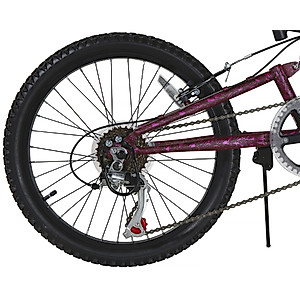 Air Zone Aftershock 20" Bike