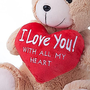 GSUIVER 10" Valentine's Day Valentines Gift for Children Kids, Girlfriend, Boyfriend, Plush Stuffed Animal (I Love You with All My Heart)