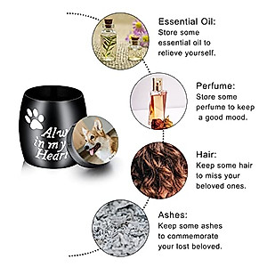 OTXIXTO Custom Mini Keepsake Urns for Human Ashes Customized Photo Symbol Birthstone Small Urns Stainless Steel Decorative Black Urns Cremation Holder Pet Ash Containers