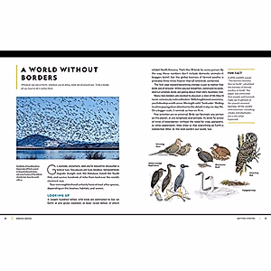 National Geographic Birding Basics: Tips, Tools, and Techniques for Great Bird-watching