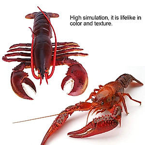 GLOGLOW Lobster Model, Artificial Lobster Seafood Model Simulation Lobster Model Plastic Lobster Decorations for Home Party Decoration Display Kids Toy(Dark-Australian Lobster, 9 in)
