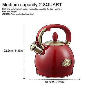 Tea Kettle -2.8 Quart Tea Kettles Stovetop Whistling Teapot Stainless Steel Tea Pots for Stove Top Whistle Tea Pot