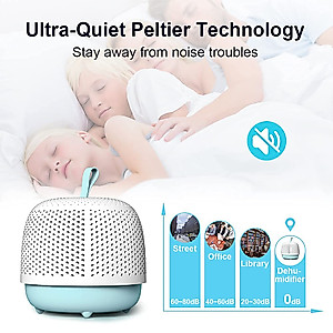 LUOWAN MINI Dehumidifier Portable Small Dehumidifier for Wardrobe,Dressing table,Cloakroom,Shoebox,Car,Bedroom,Bathroom(Blue)