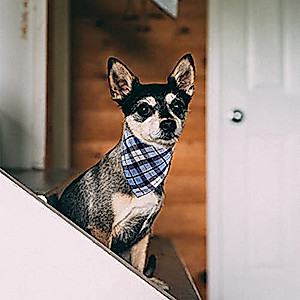 JpGdn 100Pcs/Pack Small Dog Bandana Bulk 24.4*17.3in Pet Bandanas Pack Kerchief Washable Triangle Bibs Head Scarves Scarfs Random Pattern for Boys and Girls Medium Cat Doggy Puppies Grooming Costume