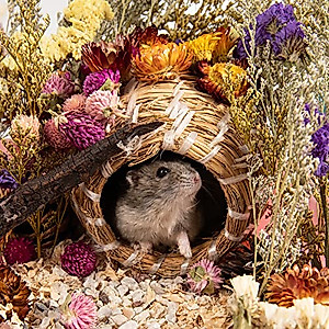 MEWTOGO 10.5Oz Hamster Bedding Decor - Natural Edible Dried Flowers Herb for Habitat Decor of Gerbils Hamsters Degus Mice Reptiles Bunny and Other Small Animals