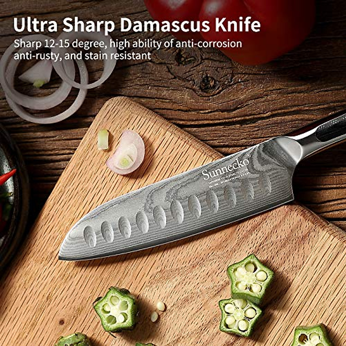 Sunnecko Kitchen Knife Japanese Damascus Santoku Knife 5 Inch,High Carbon Steel Cooking Knife Professional with G10 Handle