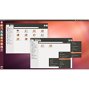 Ubuntu Linux 14.04 "Trusty Tahr" on Bootable 16GB USB Flash Drive and DVD - Both 32-bit and 64-bit Included!