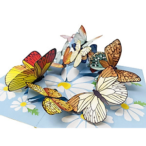 Gorgeous Butterflies,3D Pop Up Greeting Card For All Occasions,Love, Birthday, Christmas, Mother's Day, Good Luck, Congrats, Get Well,Message Note for Personalized,Thick Envelope, Fold Flat