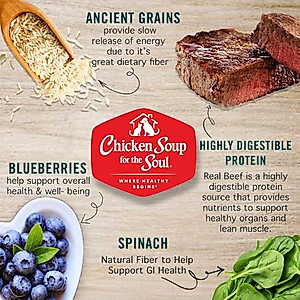 Chicken Soup For The Soul Classic Dry Small Bites Adult Dog Food, Beef & Brown Rice Recipe, 4.5 Pound Bag | Soy Free, Corn Free, Wheat Free, Small Breed Dog Food Made with Real Ingredients