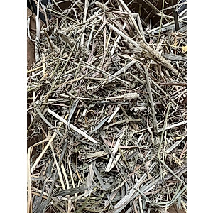 Natural Timothy Hay for Guinea Pigs,Timothy hay for Horses, Timothy hay for Hamsters, Timothy hay for Rabbits & Other Small Animals, High-Fiber Hay for Rabbits & Guinea, Fresh & Sun-Dried