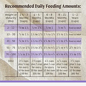 Merrick Backcountry Healthy Grains Premium Dry Puppy Food, Kibble with Freeze Dried Raw Pieces, Chicken - 10.0 lb. Bag