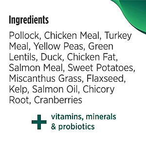 Nulo Freestyle Senior Dry Cat Food, Premium Natural Grain-Free Cat Kibble with Antioxidants for Immune Support and High Animal-Based Protein,Alaska Pollock, 4 pounds