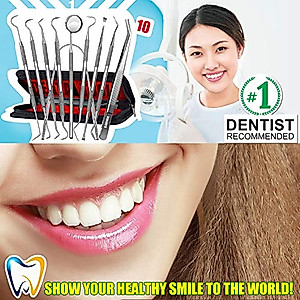 Dental Tools, Professional Teeth Cleaning Tools Stainless Steel Tartar Remover Oral Hygiene Care Scraper Tools Set for Adults, Kids, Family, Dogs with Leather Case, 11 Piece Set