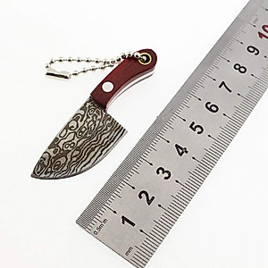 Senfei Mini Chef Knife Meat Cleaver Qing Multifunctional Mini Chef Knife for Opener Box Cutter Letter Pocket Thumb Knife 4 pieces