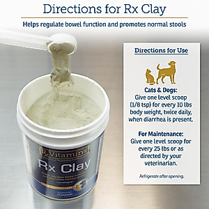 Rx Vitamins Rx Edible Clay Powder - Anti Diarrhea for Dogs & Cats and Promotes Gas Relief for Dogs - Aids in Cat Digestive Support and Dog Constipation Relief - 3.52 oz