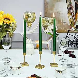 Zest Candle 12-Piece Taper Candles, 10-Inch, Hunter Green