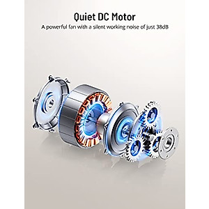 PARIS RHÔNE Fans for Home Bedroom, Oscillating Fan with Remote,16" Standing Floor Fans for Home, Dual Blade with 3 Wind Modes 12 Speed Levels,18-Hour Timer, Adjustable Height 44 to 53.1 Inch, Black