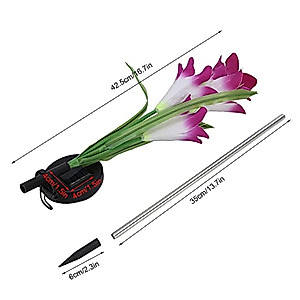 MIGONG Solar Garden Lights, Waterproof Garden Lights Outdoor Solar Lights Outdoor Garden Solar Garden Stake Lights for The Garden Trees Flowers Flowerbed Fence Walkway (Purple Color)