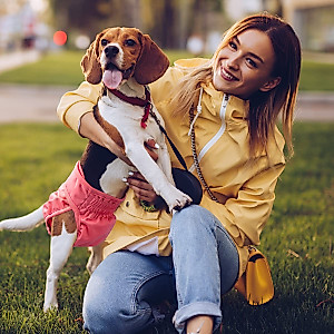 Pet Soft Washable Female Diapers (3 Pack) – Female Dog Diapers, Comfort Reusable Doggy Diapers for Girl Dog in Period Heat (Sprightly, S)