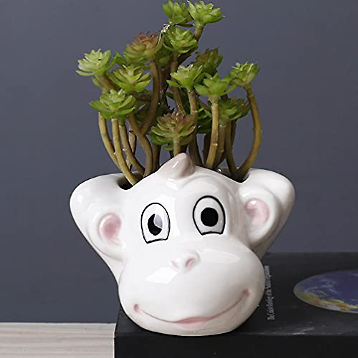 Holibanna 1Pc Cartoon Animal vase Mini Succulent pots Cute Animal Planter Succulent Planter Pot Monkey Planter Pot planters Indoor Cute Flower pots Personality White Small Flowerpot Ceramics
