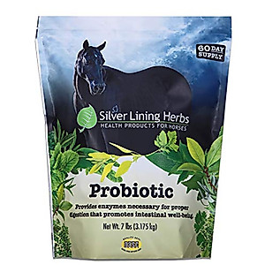 Silver Lining Herbs Horse Probiotic - Micro Encapsulated Probiotics for Equine Digestive Support and a Healthy Gut - Natural Source of Beneficial Bacteria and Enzymes - 7 lb Bag