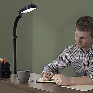 Lavish Home 72-6890 (Black) Floor Full Spectrum Natural Sunlight Lamp with Bendable Neck-Reading, Craft, Studying, and Esthetician Light