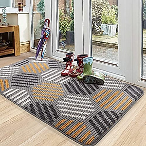 Color G Indoor Door Mat,Super Absorbent Rugs for Entryway Front Door Mat, Non Slip Washable Resist Dirt Entry Rug 24"x36"