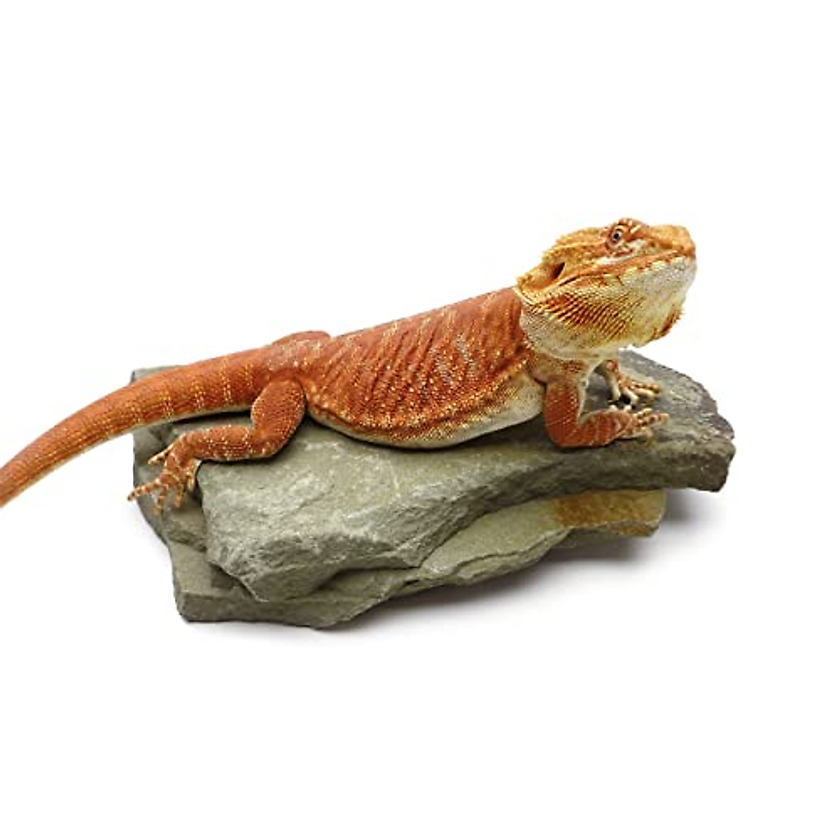 Carolina Custom Cages Natural Habitat Rocks, Blue Green (one Large Size)