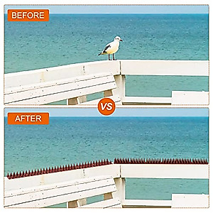 MECCANIXITY Bird Spikes 13 Inch Plastic Deterrent Spikes for Anti Cat Pigeon for Outdoor Keep Bird Away (Cream, Pack of 12)