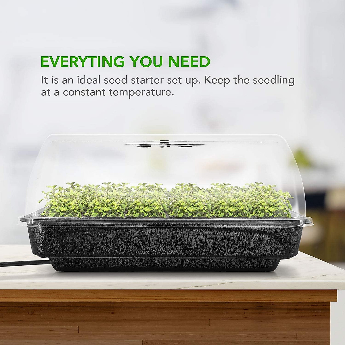 iPower Seed Tray Kits with Heater Garden Propagator Set Seed Starter Tray with Vented Humidity Dome, 15.1" x 9.5", 24 Cell