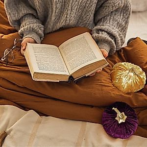 Orgrimmar 6PCS Velvet Stuffed Pumpkins Fabric Artificial Pumpkins for Home Garden Fall Decoration, Fall Harvest, Thanksgiving, Halloween Decor