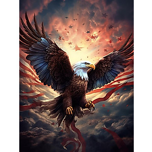 Bimkole 5D Diamond Painting Kits, Full Drill DIY Rhinestone Embroidery Set Paint with Diamonds Art by Number Kits Cross Stitch Home Wall Craft Decoration (12x16 inch)#b11143