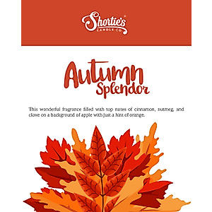 Autumn Splendor Premium Tealight Candles Multi Pack - Highly Scented with Essential Oils - 12 Orange Tea Lights - Beautiful Candlelight - Made in The USA - Christmas & Holiday Collection